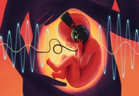 What does a baby hear in the womb? | Monkey Music
